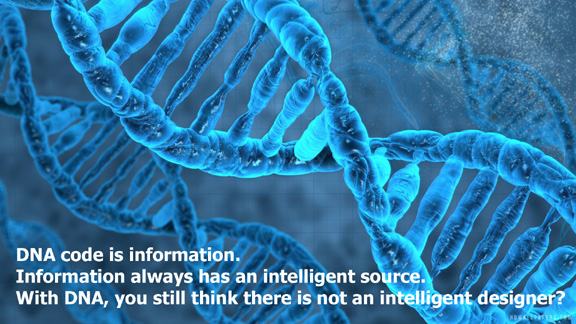 DNA and INTELLIGENT DESIGN / DNA và Thiết kế Thông minh | PhamVietHung ...