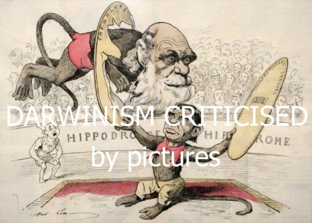 Darwinism criticized by pictures / Hình ảnh phê phán học thuyết Darwin ...