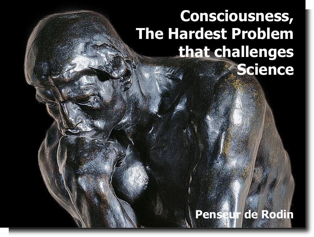 The Hardest Problem: Consciousness / Bài toán khó nhất: Ý thức ...