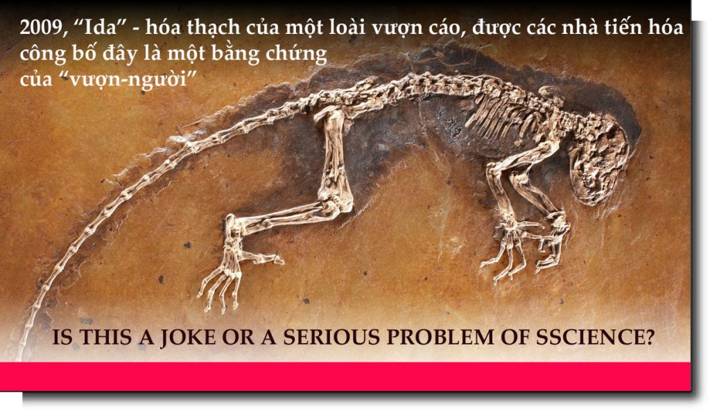 “Ape-man Ida”, a “Great Discovery” of Evolution / “Người-vượn Ida”, một ...