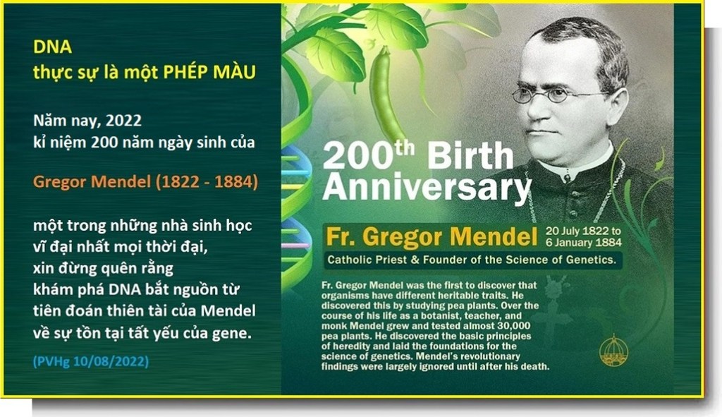 DNA is indeed a Miracle / DNA thật sự là một Phép Mầu | PhamVietHung's Home