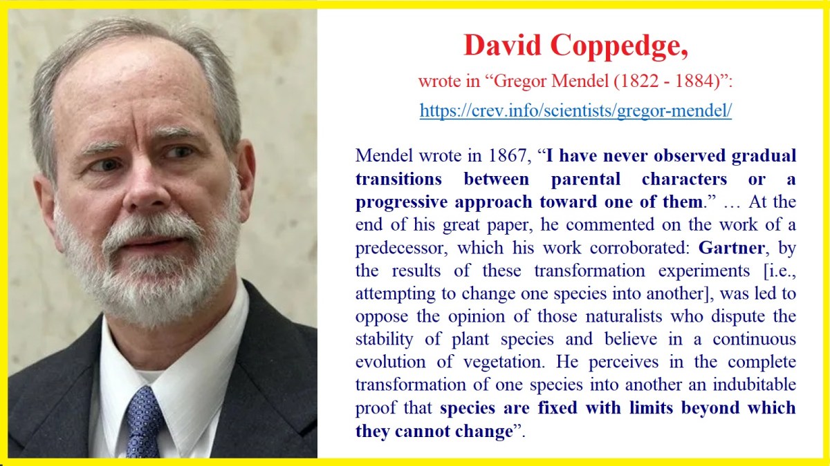 PhamVietHung's Home | My true thinking